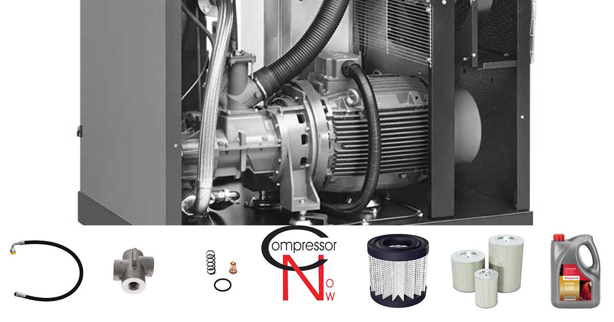 Champion / GD OEM Reducer, Pipe Fitting, Expander, Male‐Fe Part ...